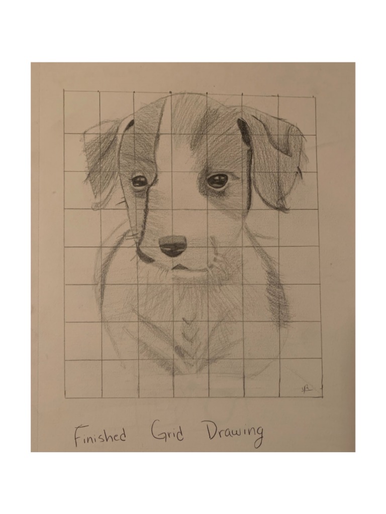 Dog Grid | PDF