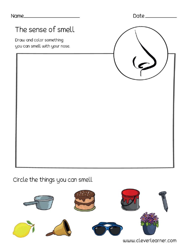 The Sense of Smell Preschool Worksheet | PDF