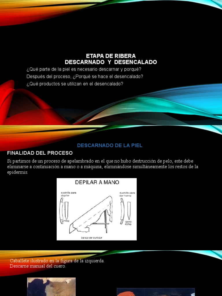 Descarnado y Desencalado | PDF | Ácido | Sal (química)