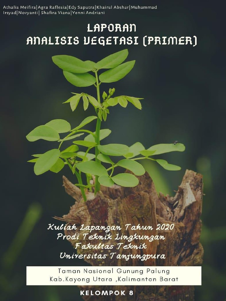 Analisis Vegetasi Taman Nasional Gunung Palung | PDF | Sains & Matematika