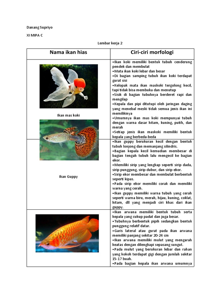 Nama Ikan Hias Ciri-Ciri Morfologi | PDF