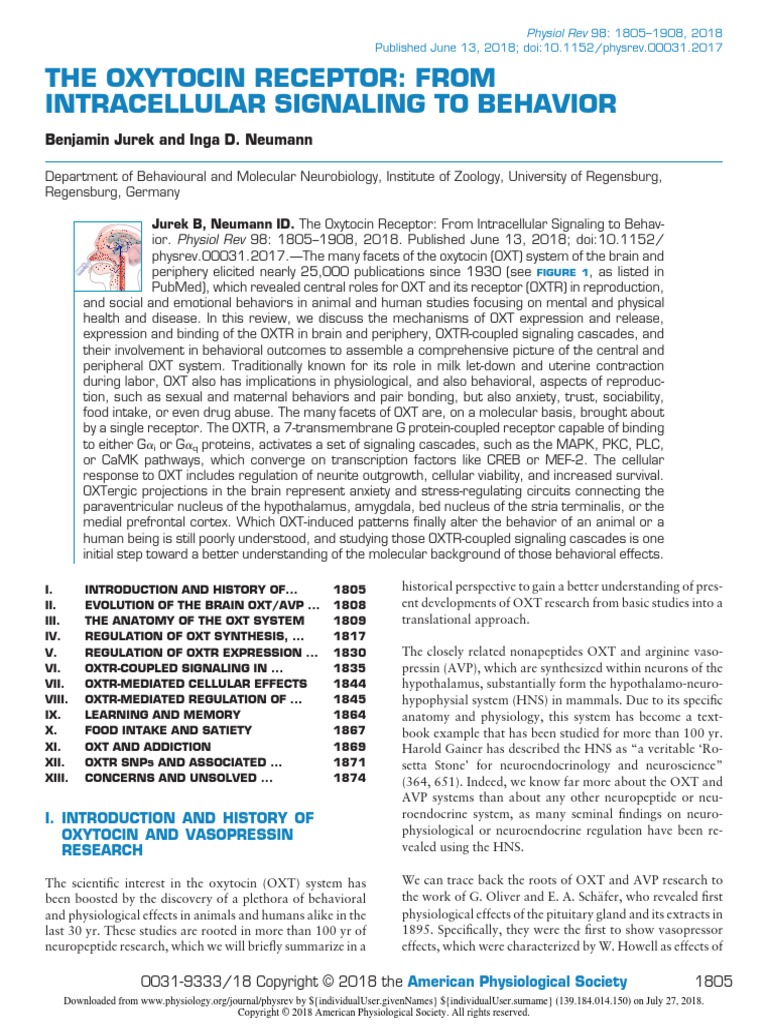 Oksitosin | PDF | Pituitary Gland | Hypothalamus