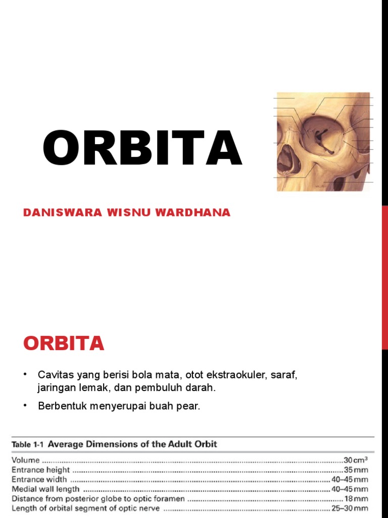 Anatomi ORBITA Danis | PDF