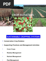 Covo Rugare Gold PLUS | PDF | Fertilizer | Seed