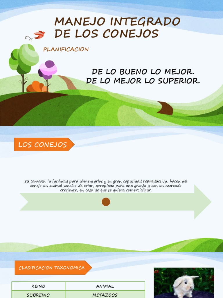 Manejo Integrado de Los Conejos | PDF | Alimentos | Cereales