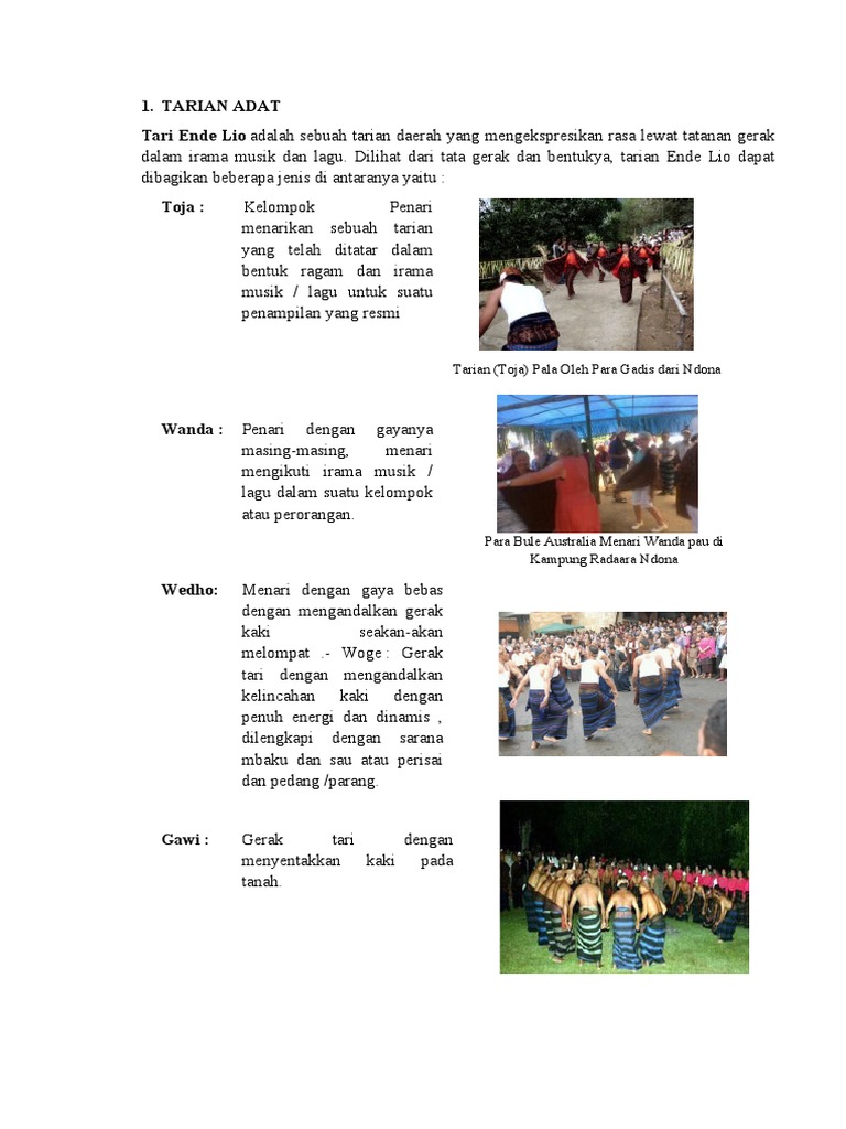 Budaya Ende Lio | PDF