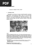 Understanding the Penile Raphe Line | PDF | Genitourinary System ...