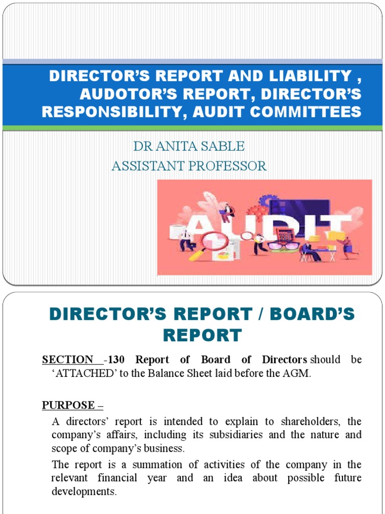 Directors' Report Guidelines 2023 | PDF | Auditor's Report | Audit ...