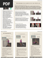 SERMEF - Programa - Cadera en Resorte | PDF | Anatomía humana | Anatomía del miembro inferior