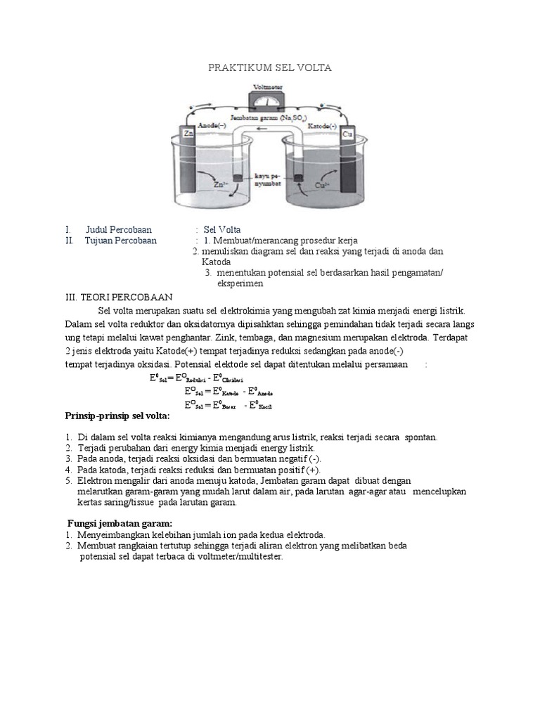 Praktikum Sel Volta | PDF