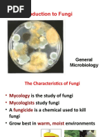 Fungi Observation in Bread and Fruit | PDF | Fungus | Staining