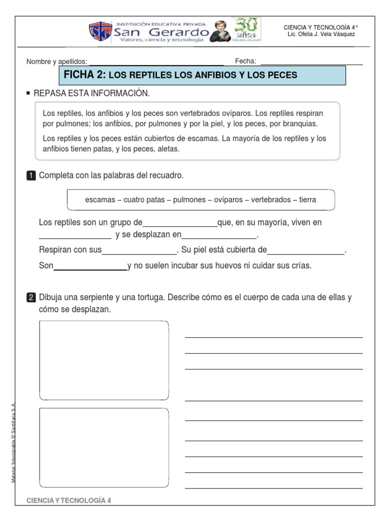 Ficha 2 - Reptiles Peces Anfibios | PDF | Pescado | Anfibio