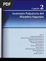 Tanner Femenino y Masculino Pediatría | PDF | Pecho | Características ...