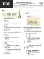 Pruebas Saber Español 3° Grado | PDF | Palabra | Oración (Lingüística)