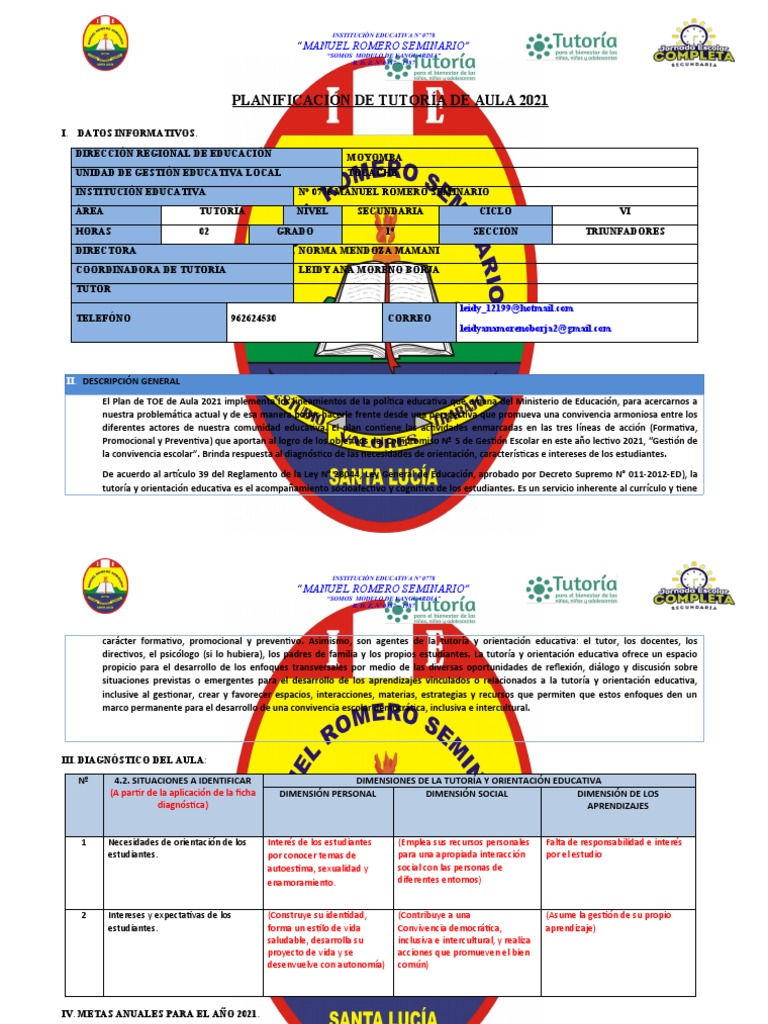 Estructura Planificación Anual Toe Vi Ciclo Ultimo | PDF ...