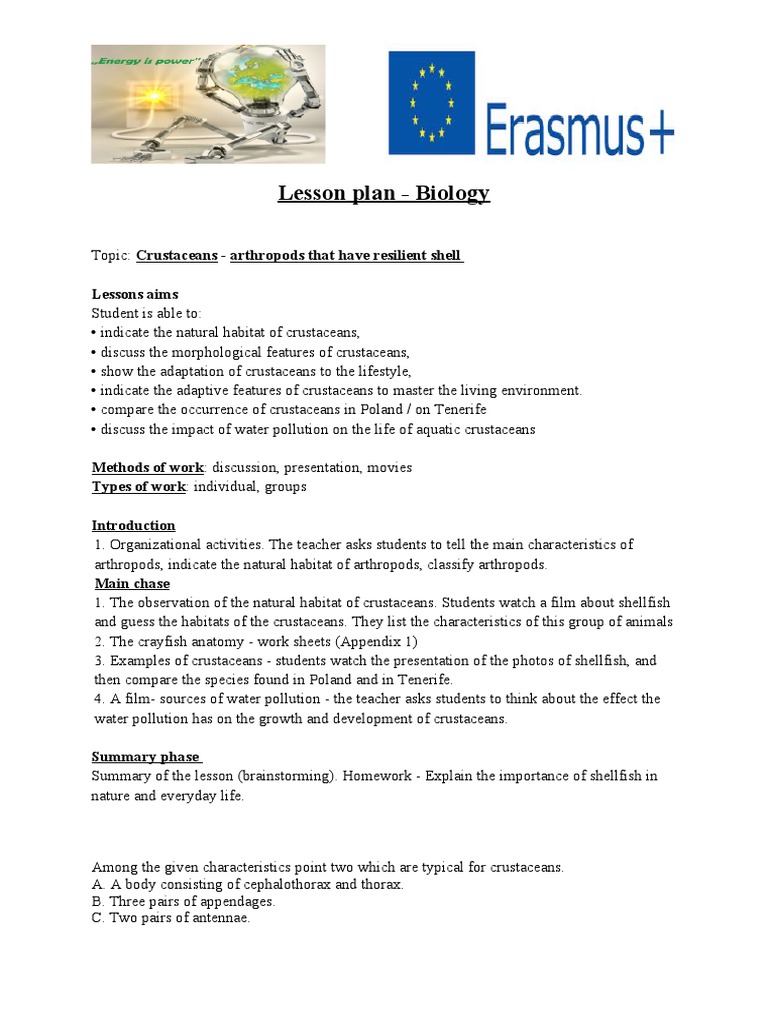 Lesson Plan - Biology: Lessons Aims | PDF | Crustacean | Lobster