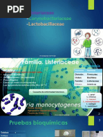 Pruebas Bioquimicas para Enterobacterias | PDF | Química | Las bacterias