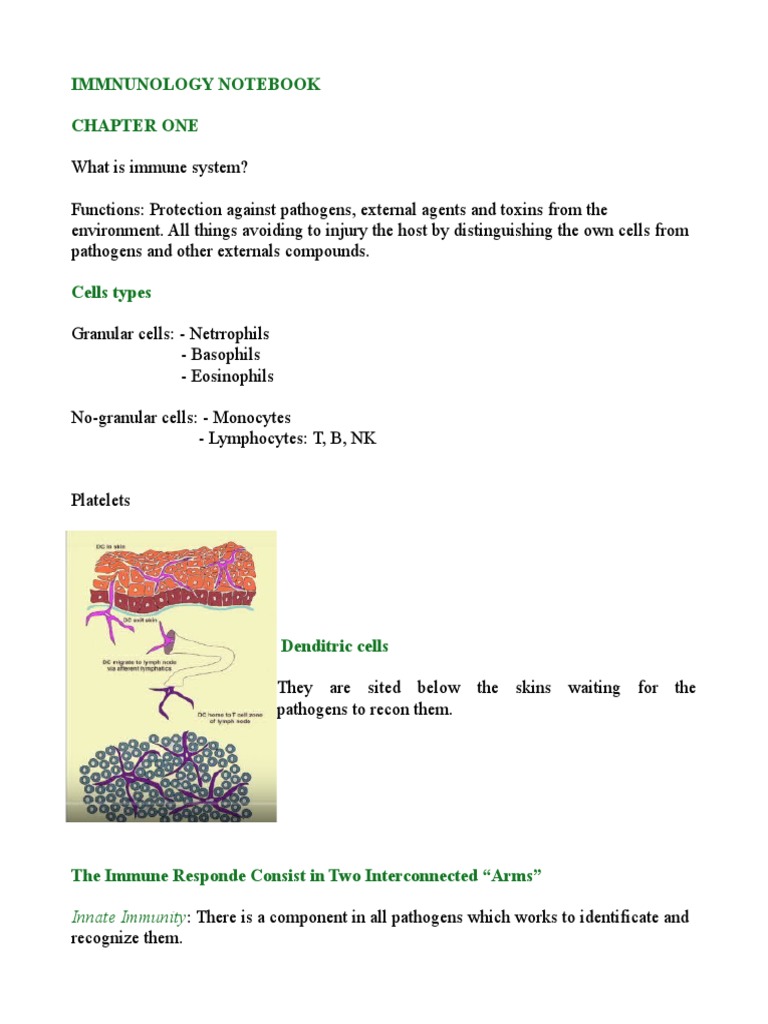 Immnunology Notebook Chapter One: Innate Immunity | PDF | Cd4 | Immune ...