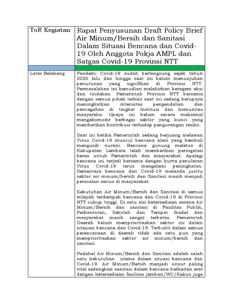 ToR Penyusunan Policy Brief | PDF