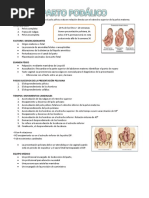 Distocia Funicular: Definición y Evaluación | PDF | Parto | Feto
