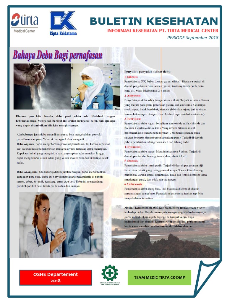 Bahaya Debu | PDF