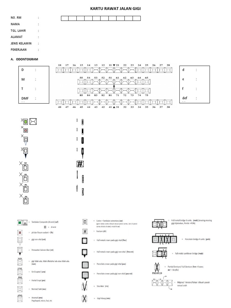 Odontogram | PDF