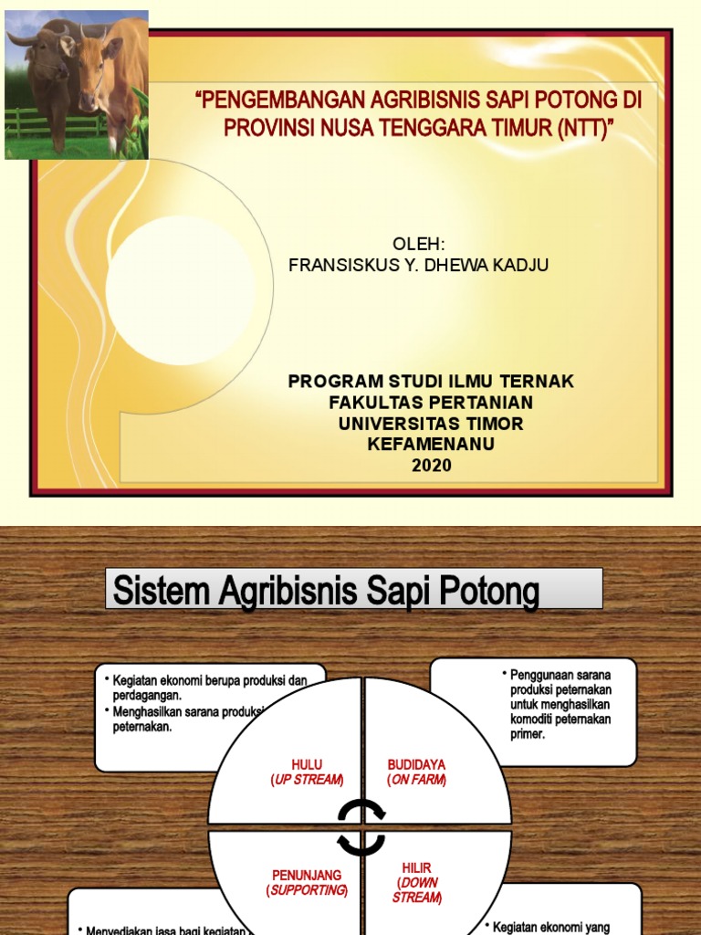 Pengembangan Agribisnis Sapi Potong Di Provinsi Nusa Tenggara Timur ...