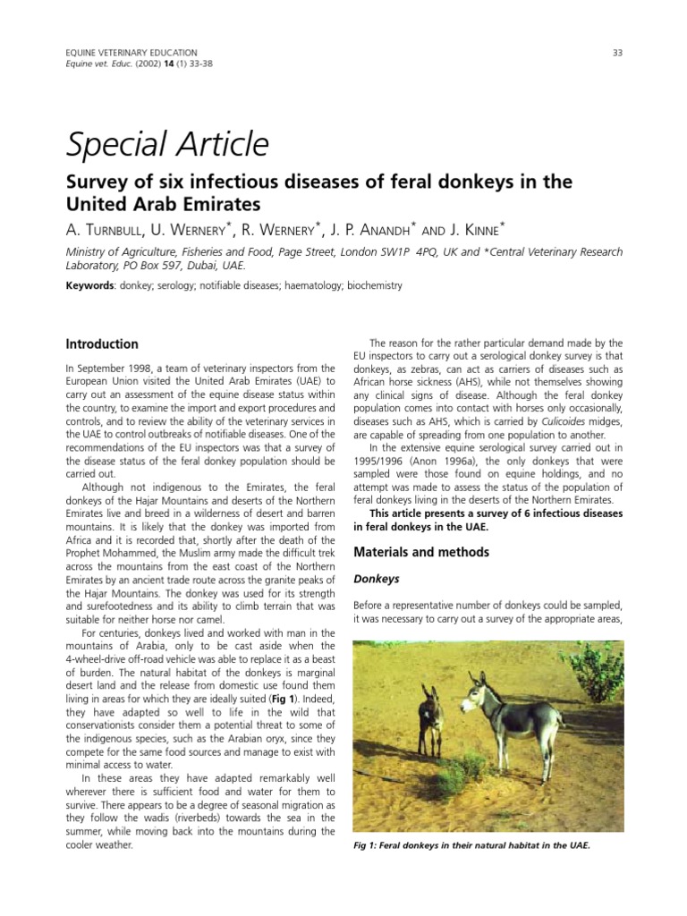 Glanders Donkey | PDF | Serology | Infection