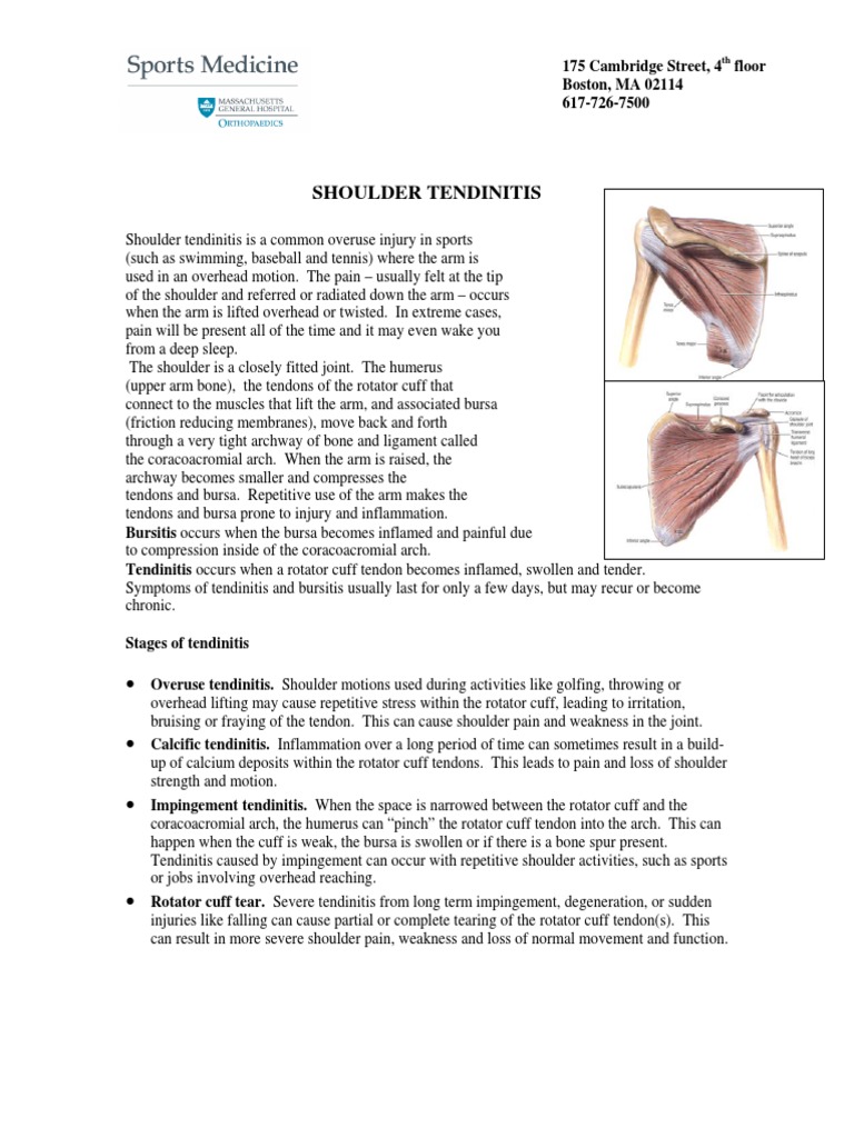 Rehabilitation Protocol For Shoulder Tendinitis | PDF | Shoulder ...