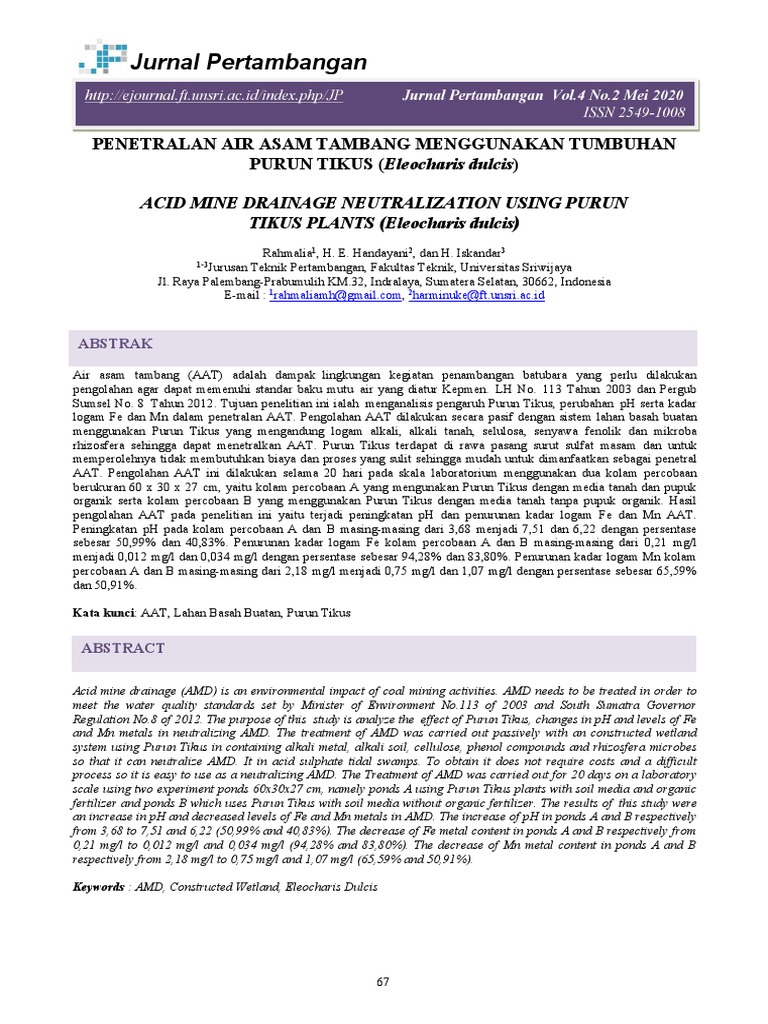 Penetralan Air Asam Tambang Menggunakan Tumbuhan Purun Tikus ...