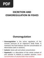 Classification of Fishes | PDF | Fish | Aquatic Animals