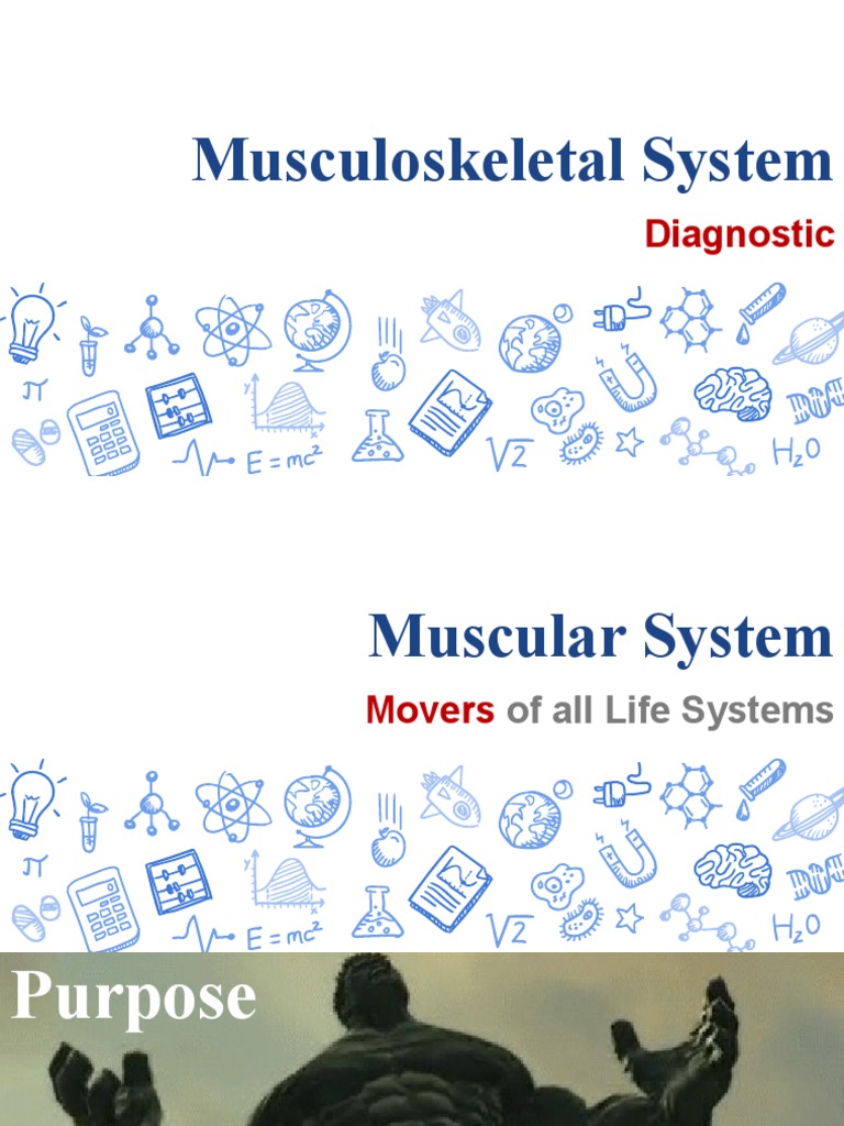 Musculoskeletal System: Diagnostic | PDF | Skeleton | Human ...