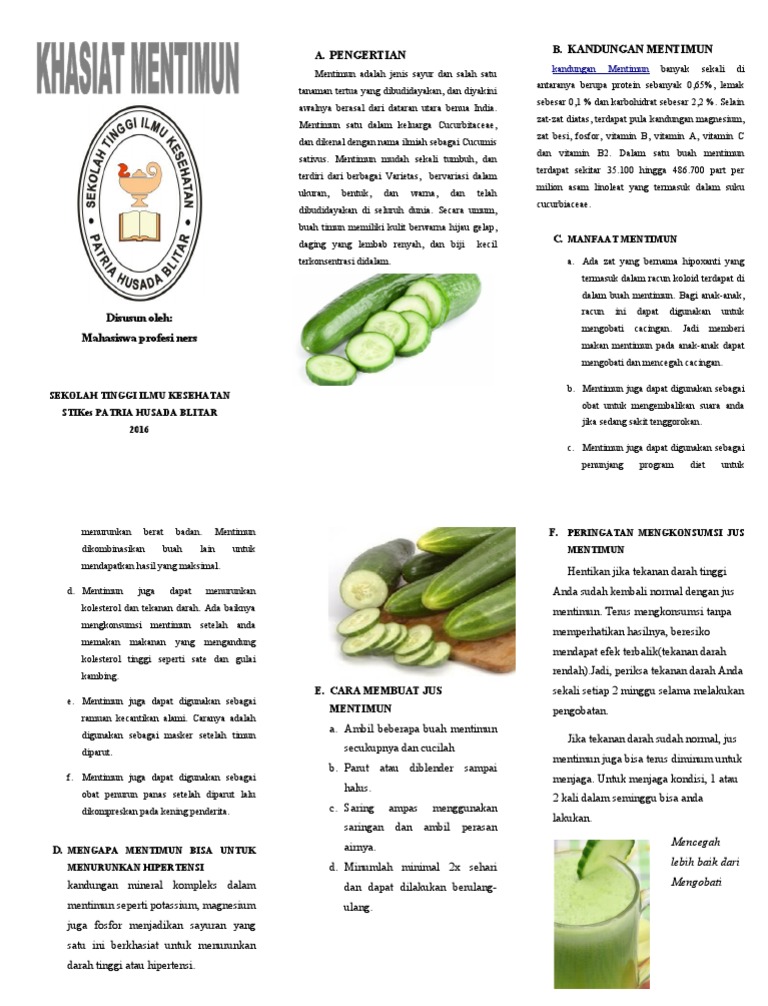 LEAFLET Mentimun | PDF
