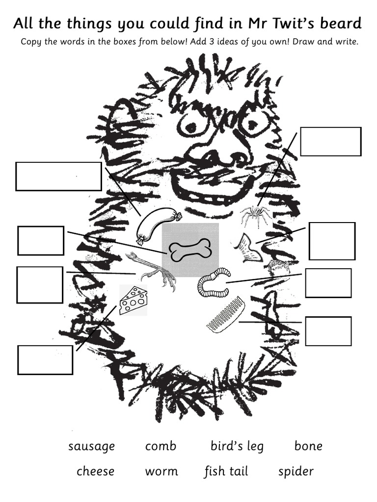 MR Twit's Beard - Worksheet | PDF
