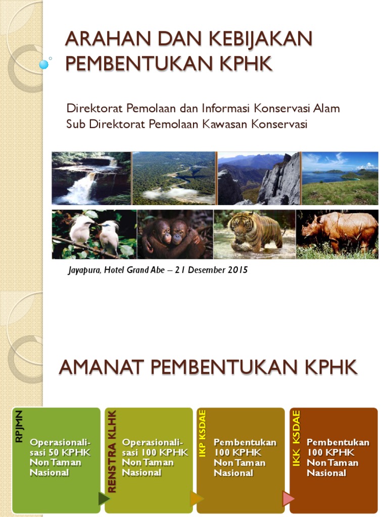 Arahan Kebijakan Pembentukan KPHK | PDF