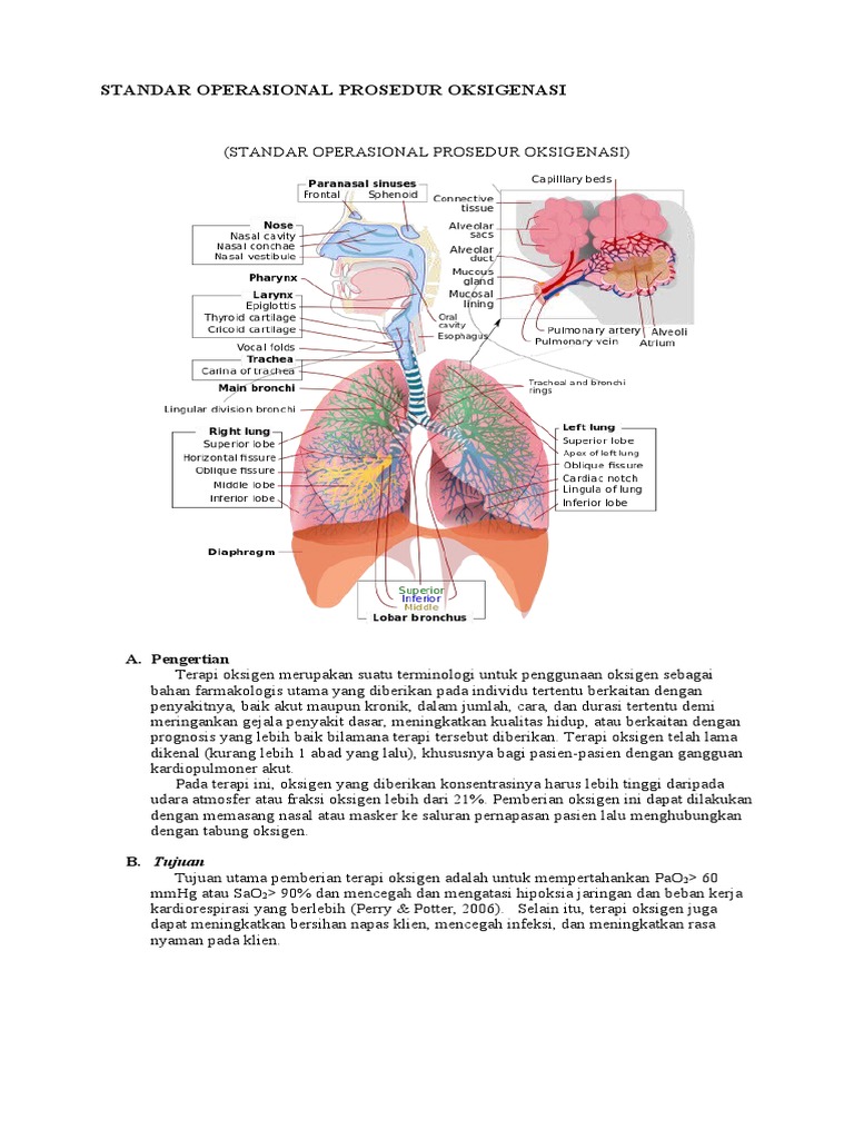 Sop Pemberian Oksigen | PDF