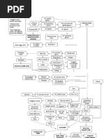 Pathway Syok Sepsis | PDF