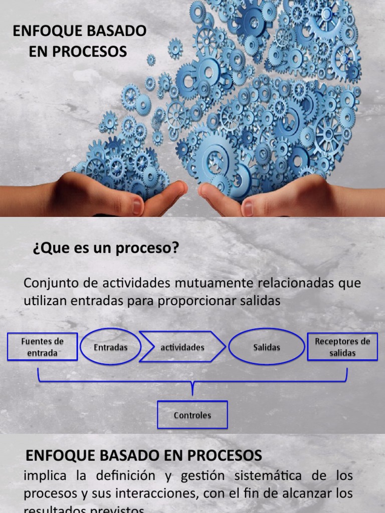 Enfoque en Procesos | PDF