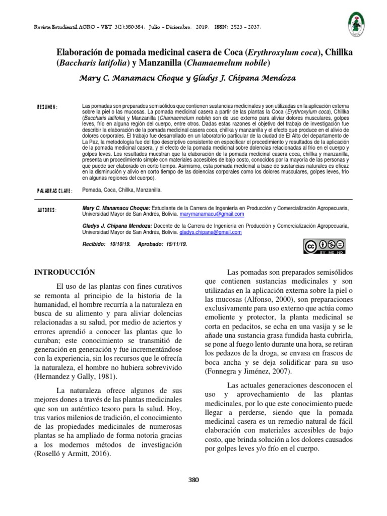 Preparación de una pomada medicinal casera a base de coca, chillka y ...