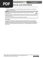 BIOZONE IB Biology 2nd Edition Sample Packet | PDF | Cell Potency | Mitosis