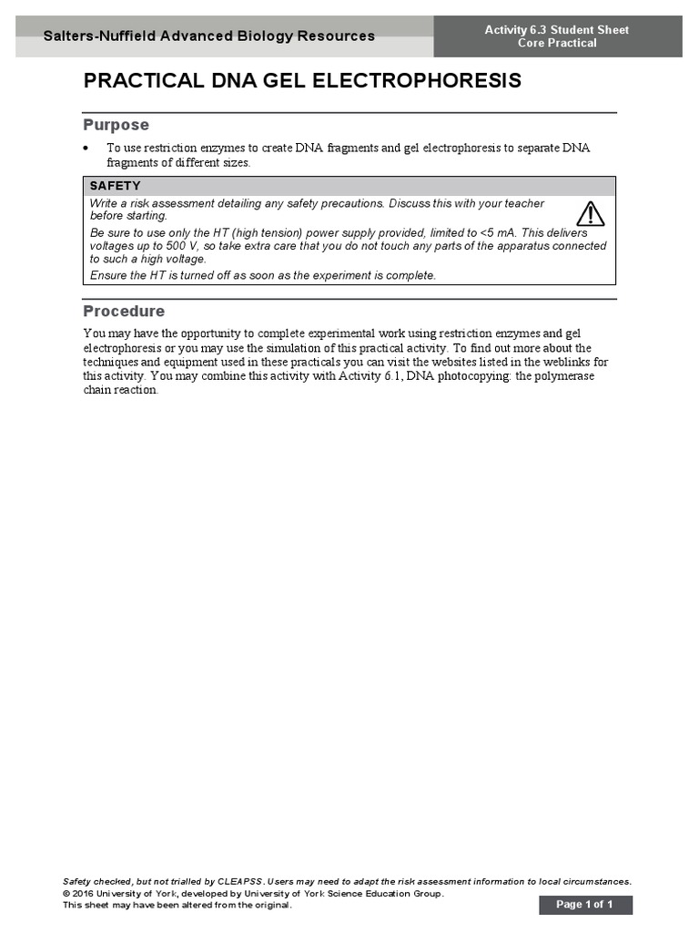 A Level Biology A Core Practical 14 - Gel Electrophoresis | PDF | Gel ...