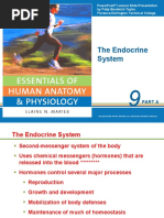 Endocrine System Powerpoint | PDF | Pituitary Gland | Endocrine System