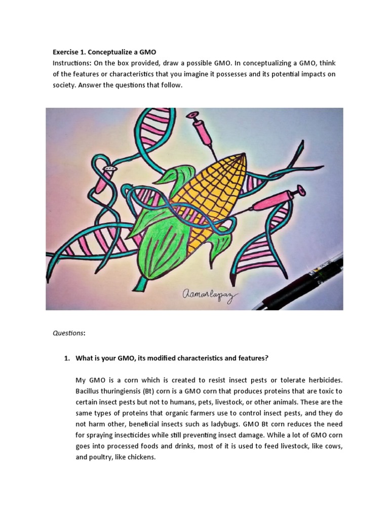 Exercise 1. Conceptualize A GMO: Questions | PDF | Genetically Modified ...
