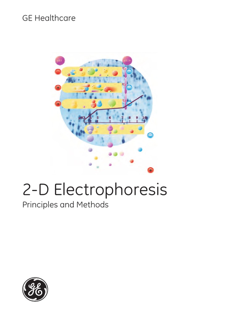 2D Electrophoresis | PDF | Gel Electrophoresis | Proteomics