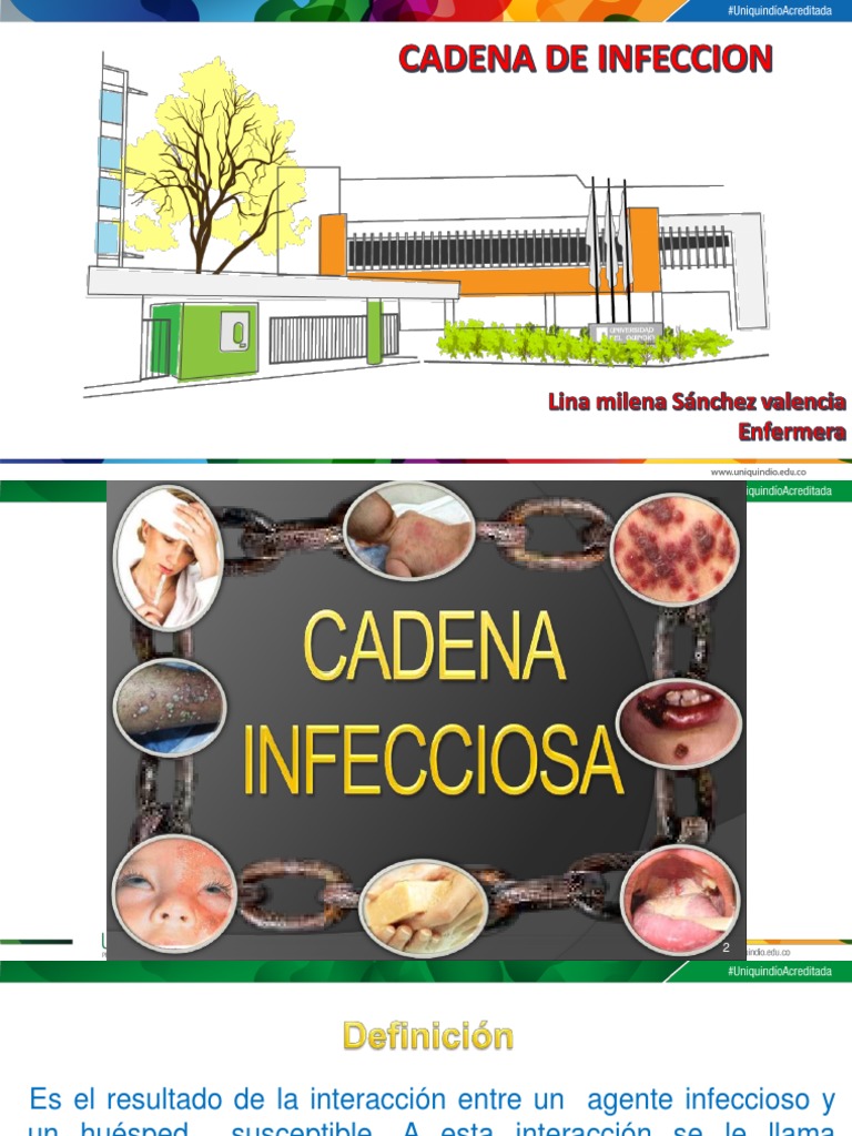 Cadena de Infeccion | PDF | Vector (Epidemiología) | Infección