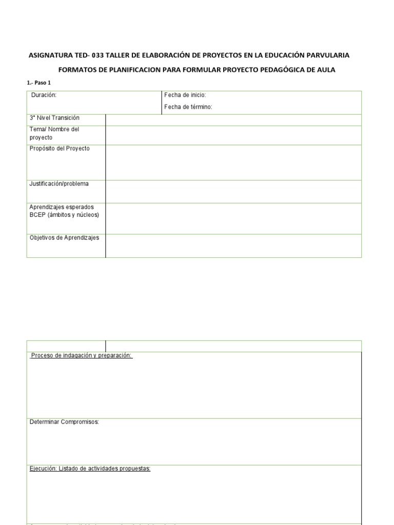 Formatos para Formular Un Ppa | PDF
