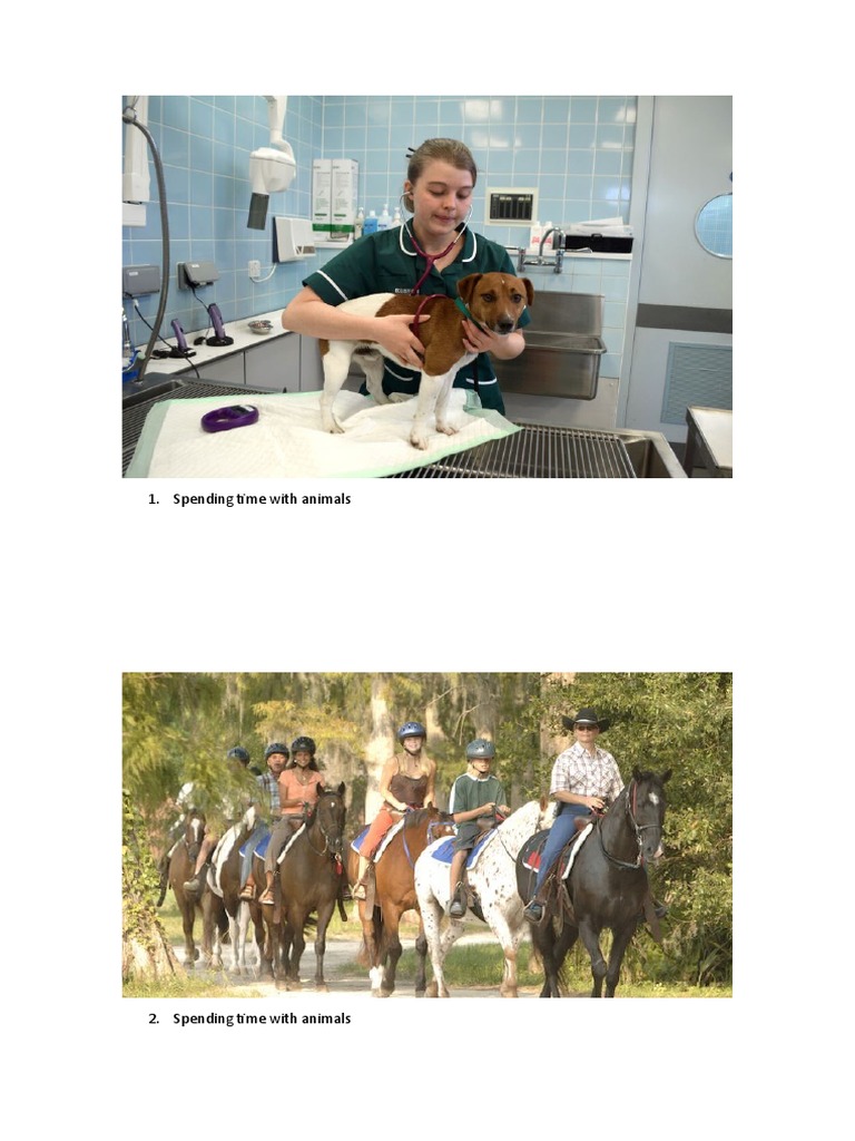 FCE, PET Speaking Pictures | PDF