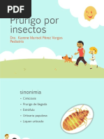 Prúrigo Por Insectos | PDF