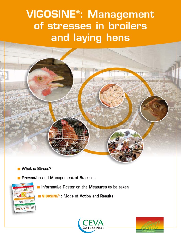 VIGOSINE Stressless | Download Free PDF | Cortisol | Stress (Biology)