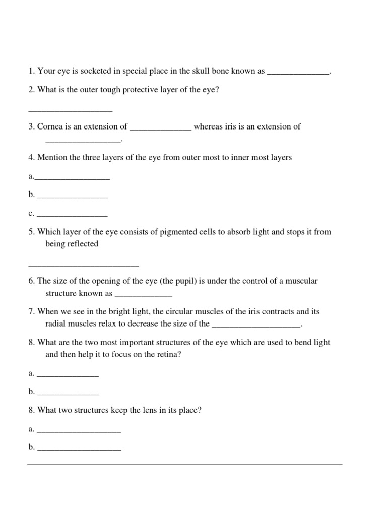 Eye and Ear Anatomy Quiz | PDF | Eye | Ear